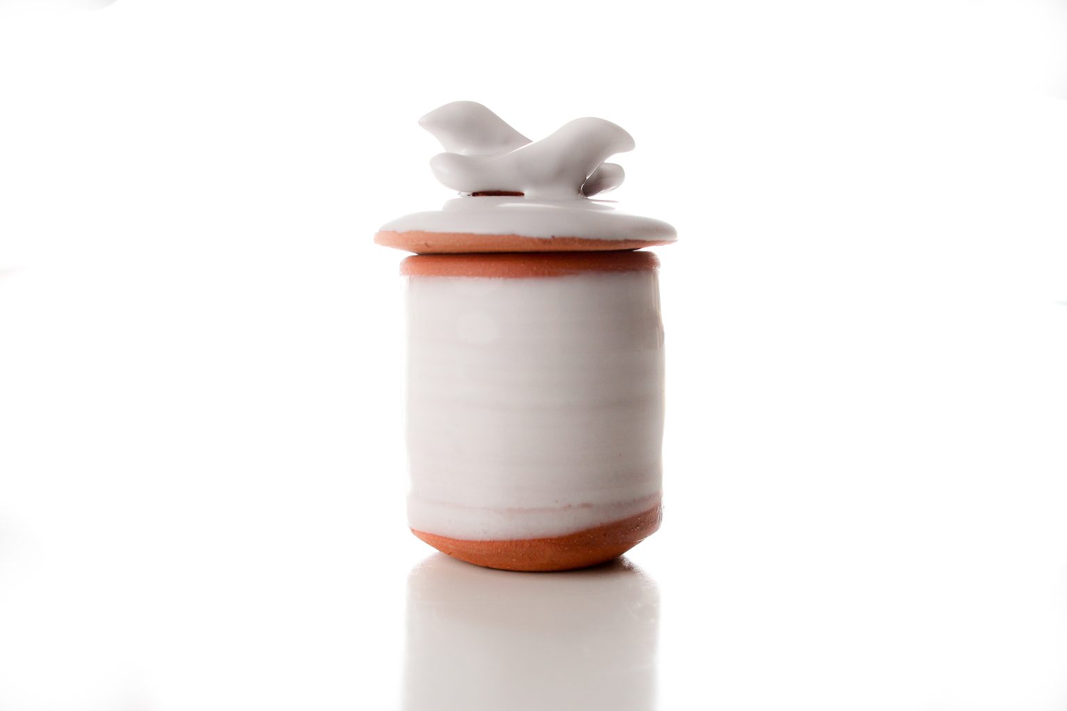 Prayer Jar – Bluebird – Spirit Of Creation